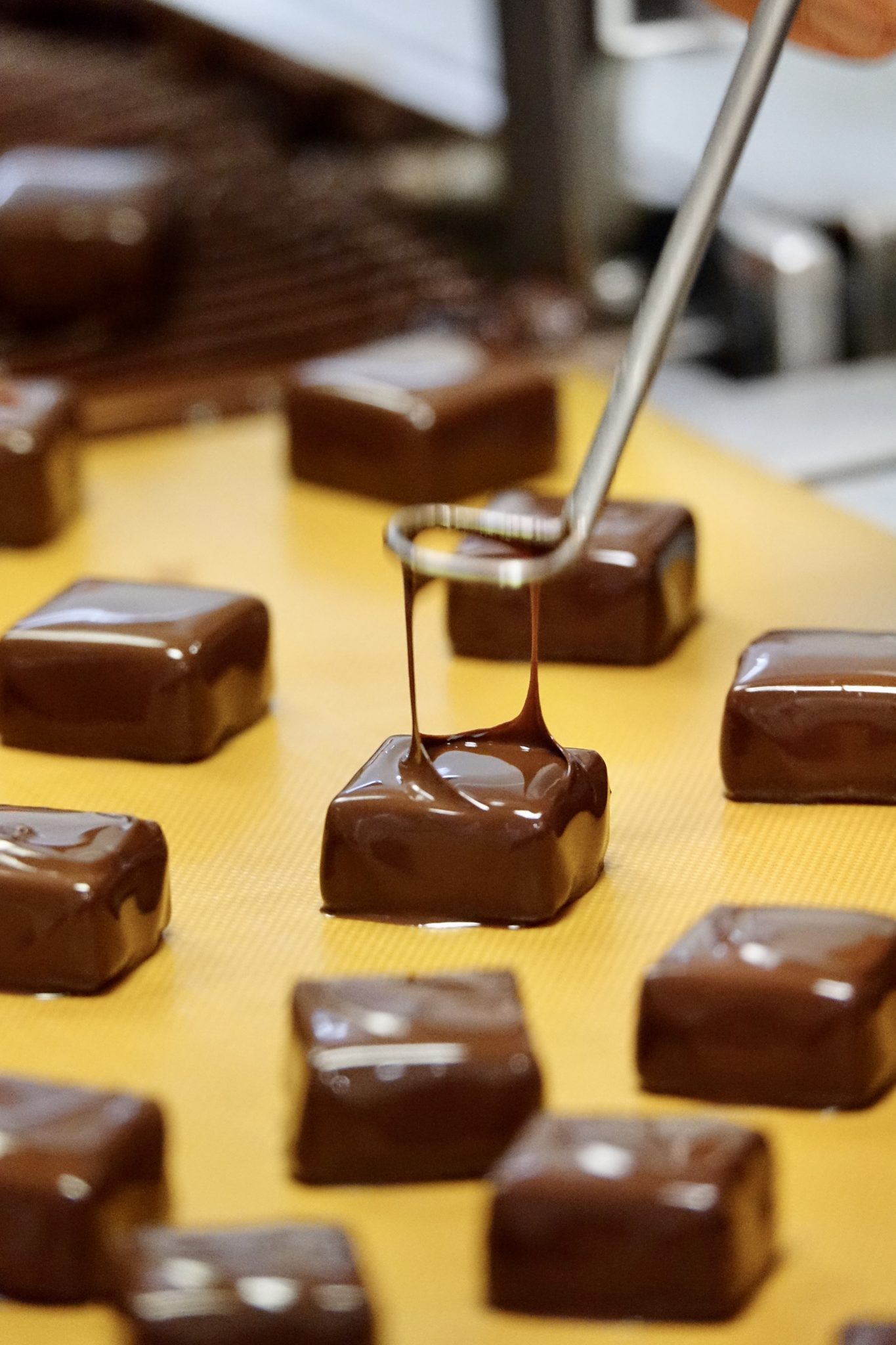 La maison - Cadiot Badie